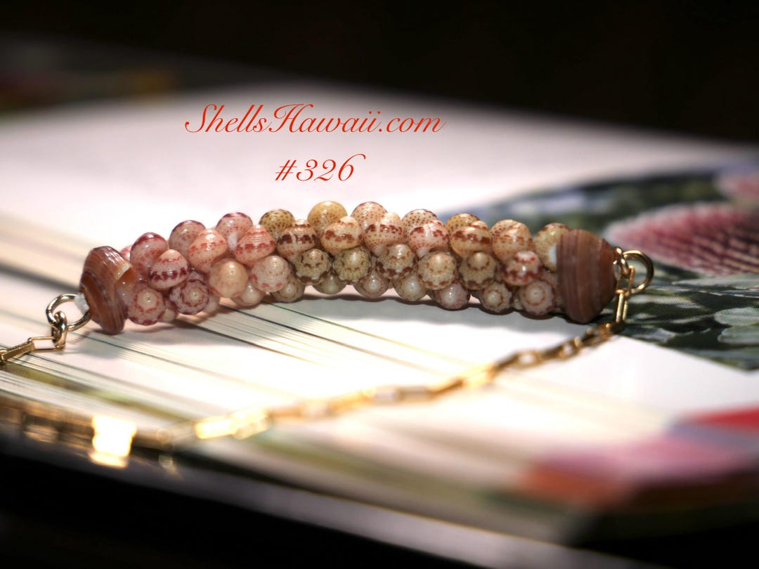 17 Pupu O Niihau Kahelelani Shell Pendant/necklace 326 - Etsy