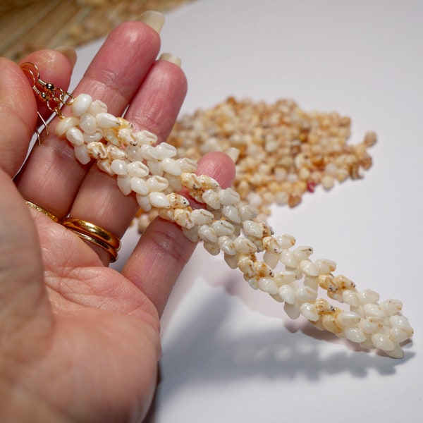 Shell Earrings - Etsy