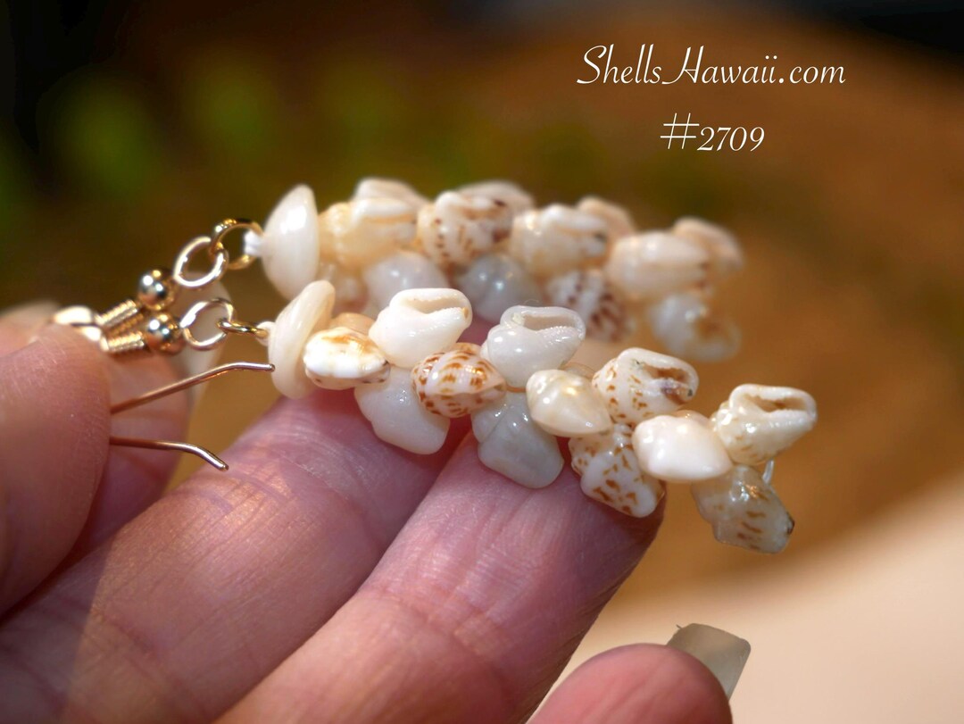 Ni'ihau Shell Earrings – Handmade Pikake Style Momi Shells, 14K Gold ...