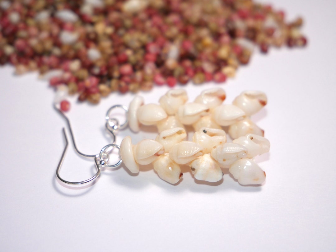1 1/4 Momi Pikake Shell Earrings. Niihau Shell Earrings 2342 - Etsy