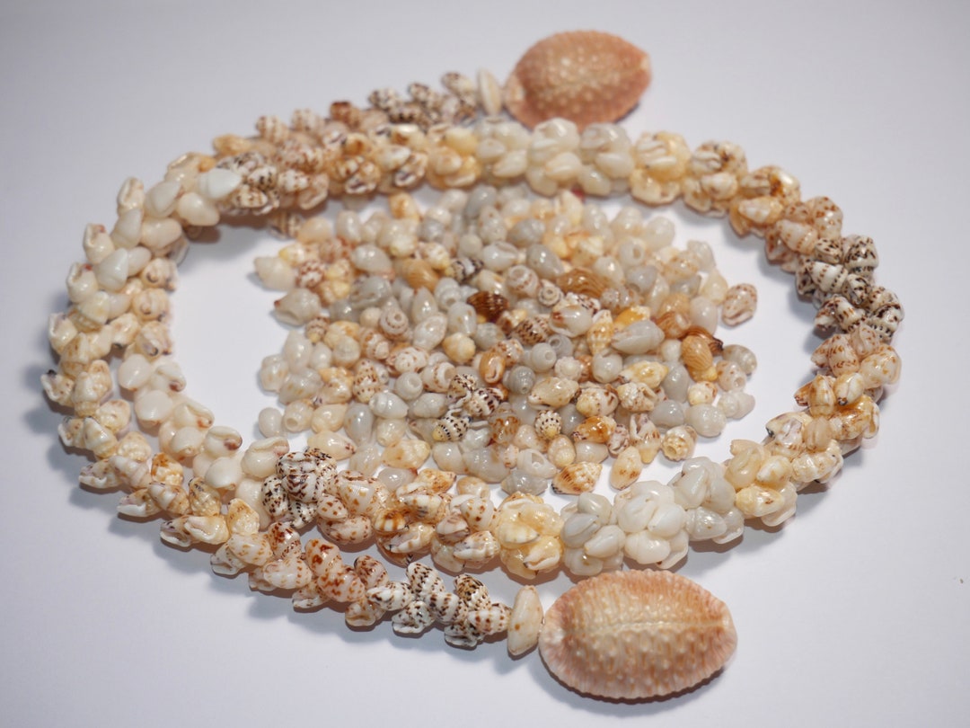21.5 Lei Pupu O' Niihau Niihau Shell Lei Niiahu Shell Jewelry Gifts ...