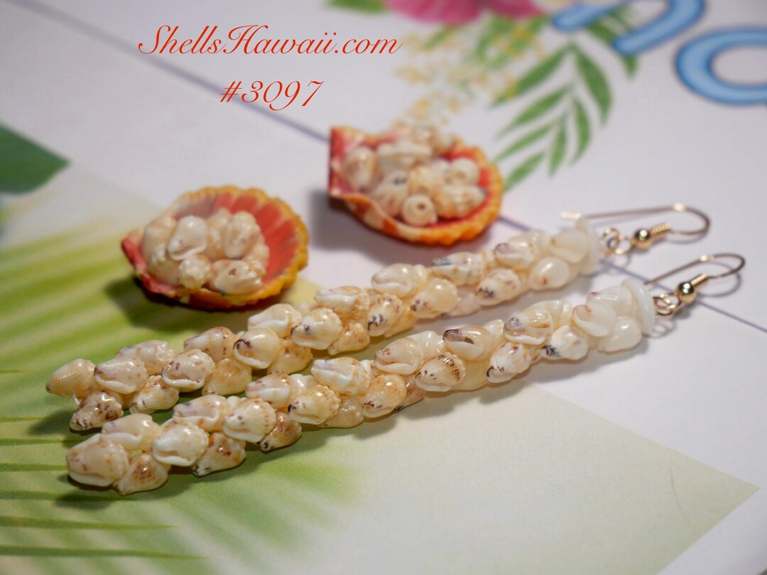3 1/4" Ombre Yellow Momi Lenalena Momi Shells Design Into Coconut ...