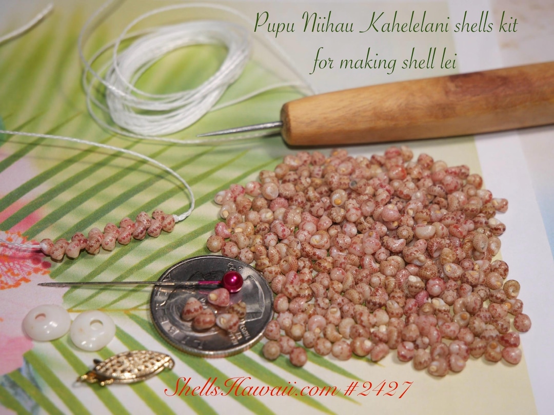 Niihau Shell Lei Kit: 300 Kahelelani Shells, Tools, Clasp - Etsy