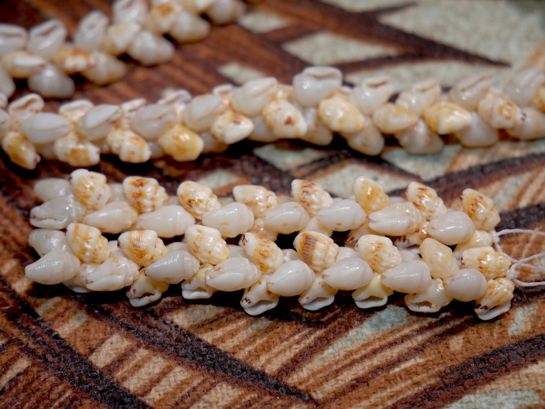 Blue & Yellow Momi Pikake Style Shell Lei and Earrings Set 1001 - Etsy