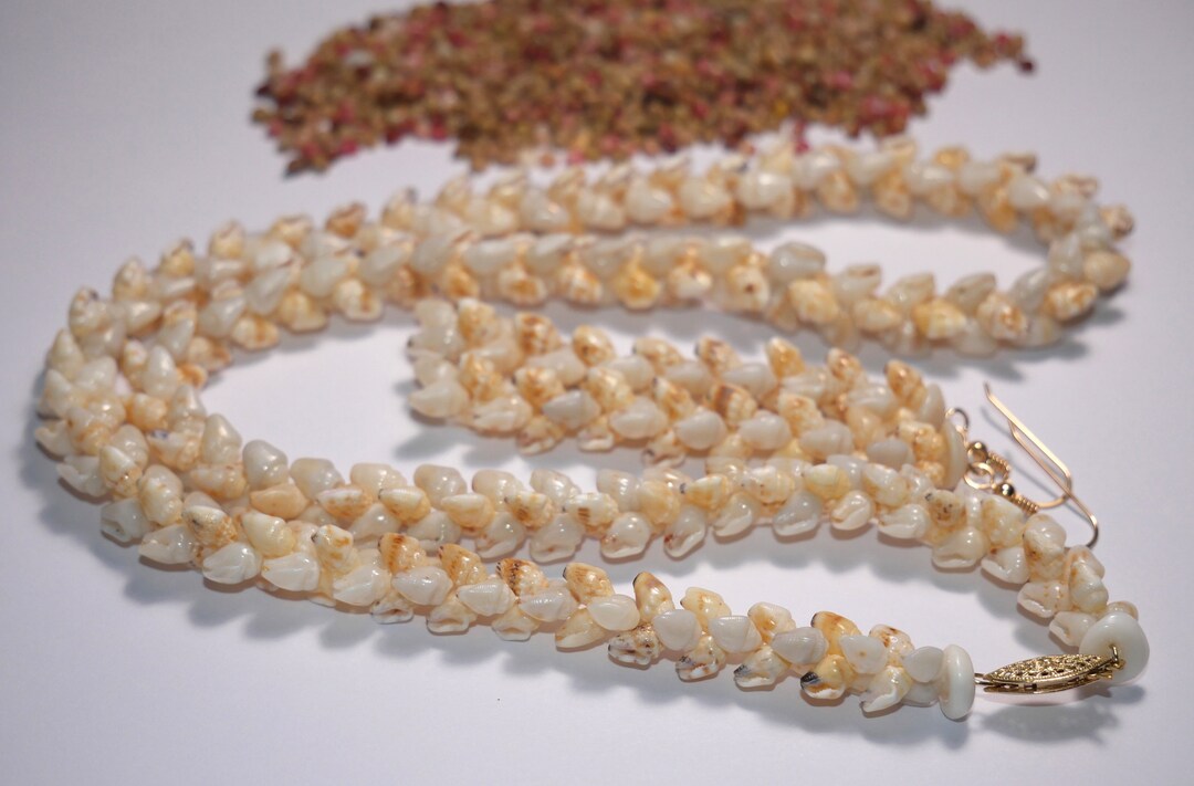 21 1/2 Blue Uliuli & Yellow Lenalena Momi Pikake Style Shell Lei and ...