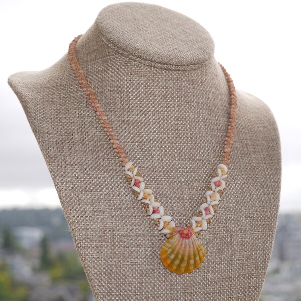 Sunrise Shells - Etsy