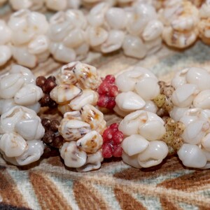 26 Shell Lei of Niiahu Pupu Momi & Kahelelani Crown Flowers Style Shell ...