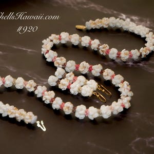 26 Shell Lei of Niiahu Pupu Momi & Kahelelani Crown Flowers Style Shell ...