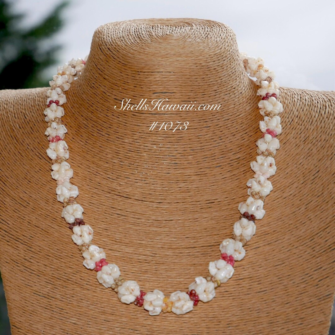 20" Pupu O Niihau Shell Lei Made of Momi & Kahelelani Shells Design ...