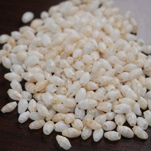 1 Film Canister of Laiki Shells Supply From Niihau #1136 - Etsy