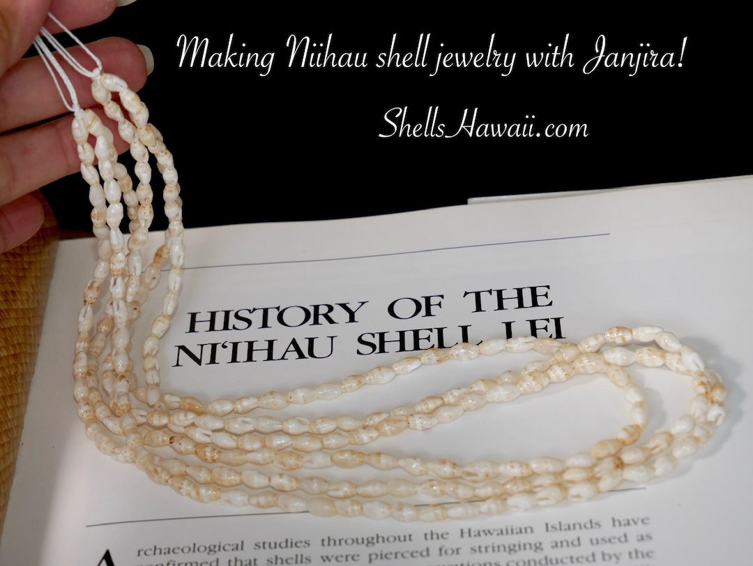 1 Film Canister of Laiki Shells Supply From Niihau #1136 - Etsy