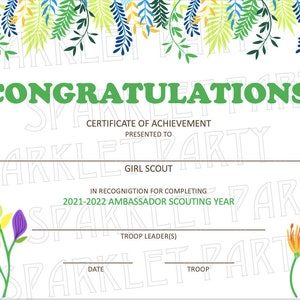 End of Year Award Ambassador Girl Scout Recognition Level Bridge ...