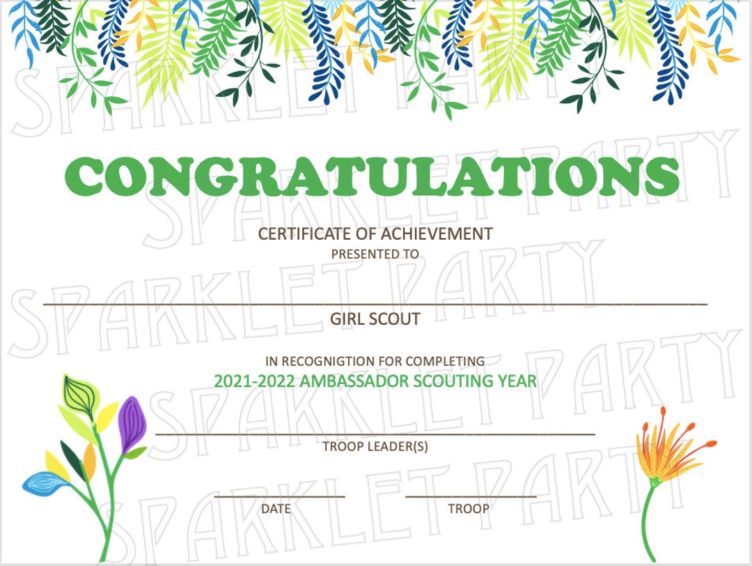 End of Year Award Ambassador Girl Scout Recognition Level Bridge ...