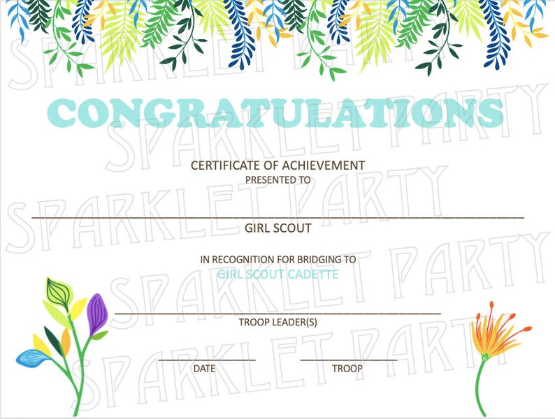 Bridge to Cadette Girl Scout Bridge Level Bridging Award - Etsy