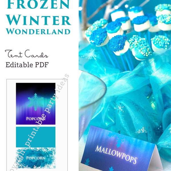 Frozen Place Cards - Etsy