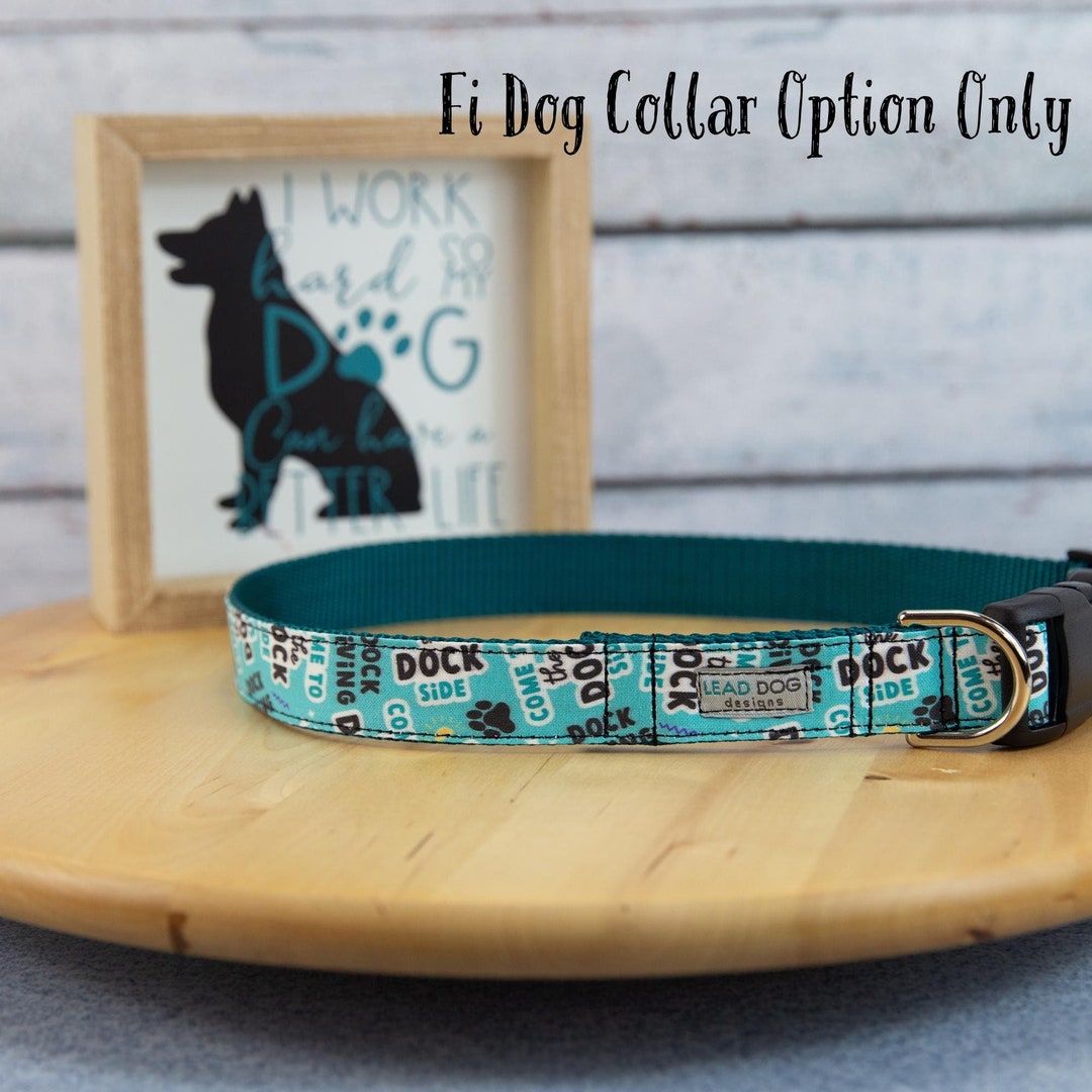 Agility Dog Dock Diving, Dog Sports, Dog Agility Sports Training ...