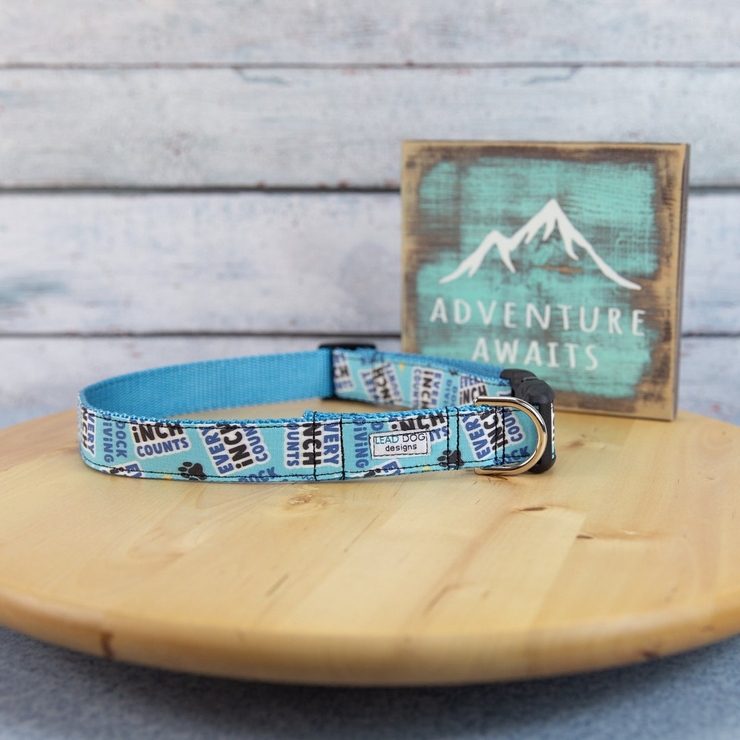 Agility Dog Dock Diving, Dog Sports, Dog Agility Sports Training ...