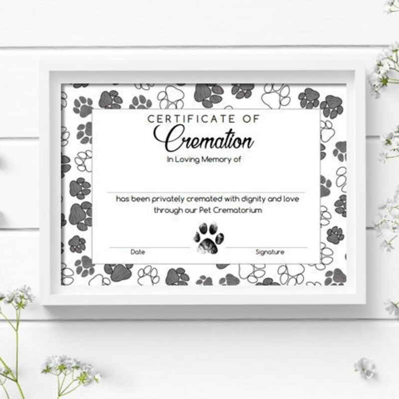 Cremains for Cat - Etsy