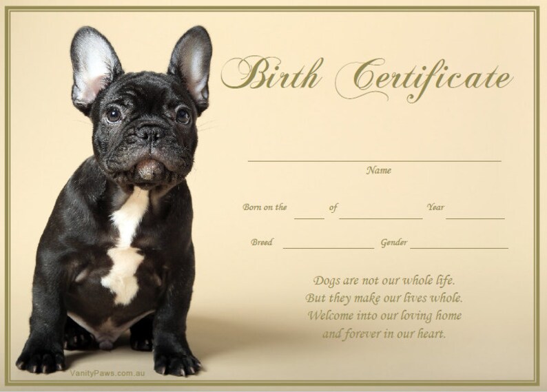 Puppy Birth Certificate - Frenchie Black (instant Download) - Etsy