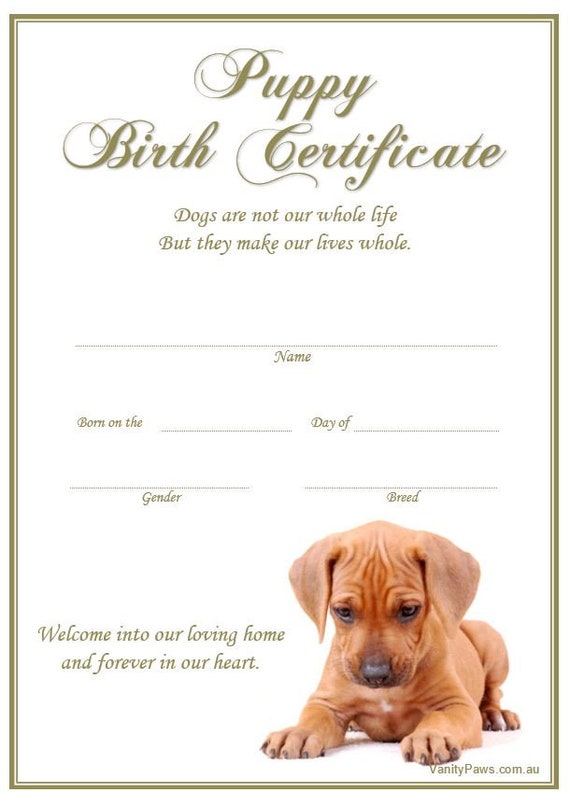 How To Get Dog Birth Certificate