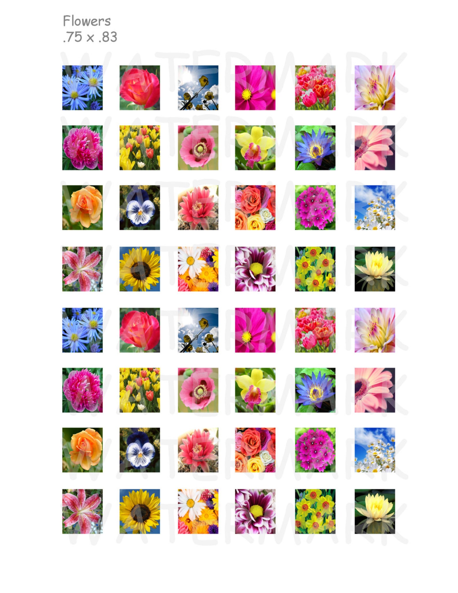 Flowers Digital Collage Sheet .75 x .83 Scrabble Size | Etsy