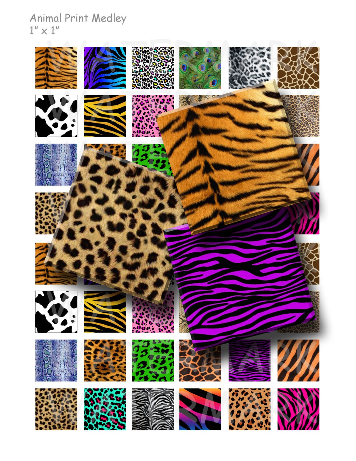 Animal Print Medley Digital Collage Sheet 1 Inch 1 X 1 - Etsy