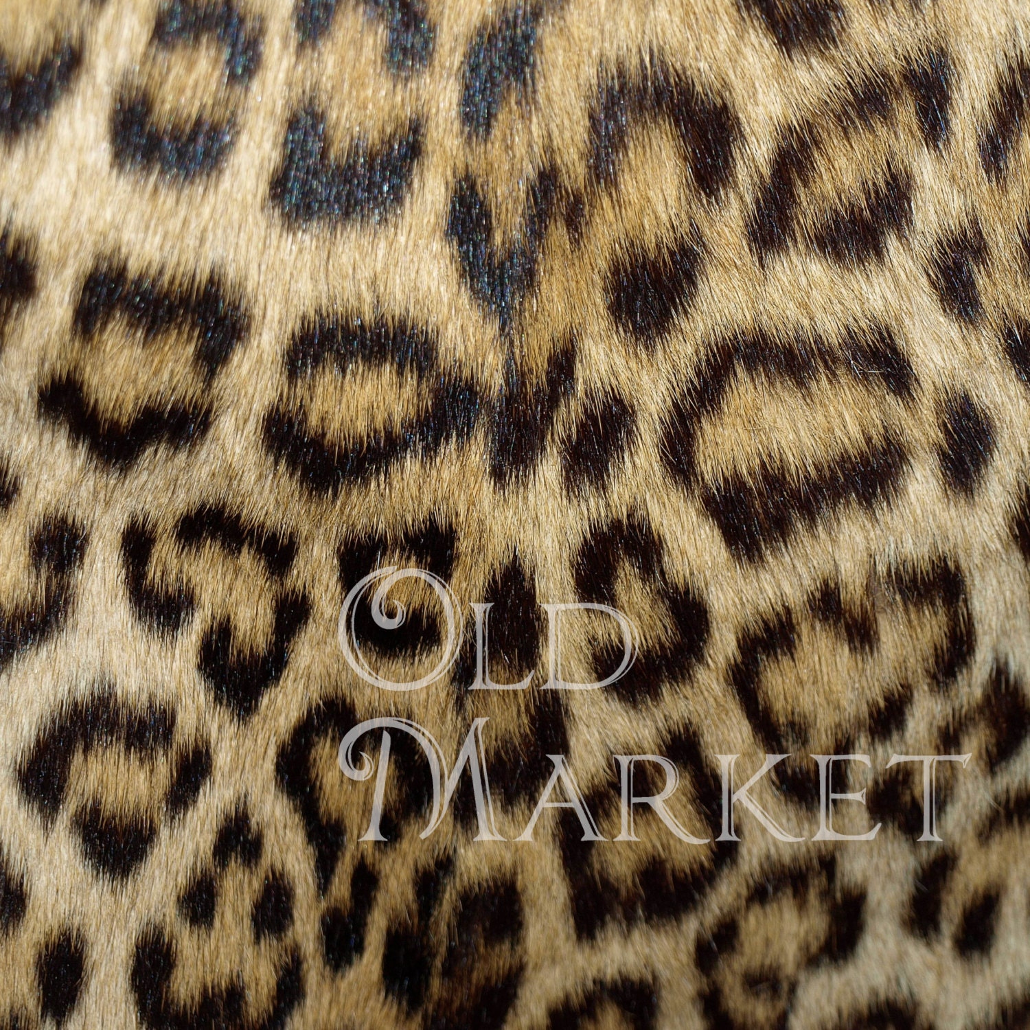 Animal Skin Textures Digital Paper Animal Fur Backgrounds - Etsy