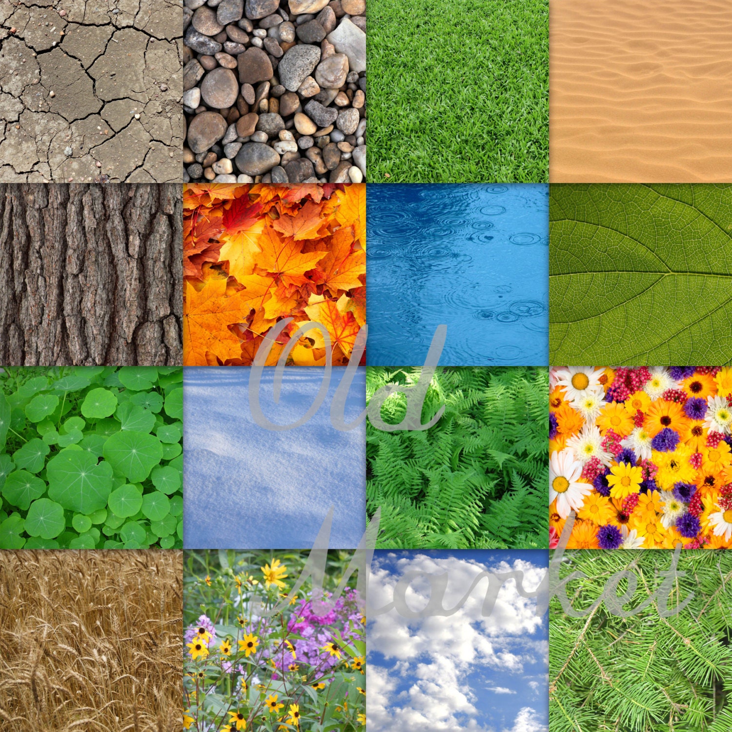 Nature Digital Paper Nature Scenes Backgrounds and Textures | Etsy