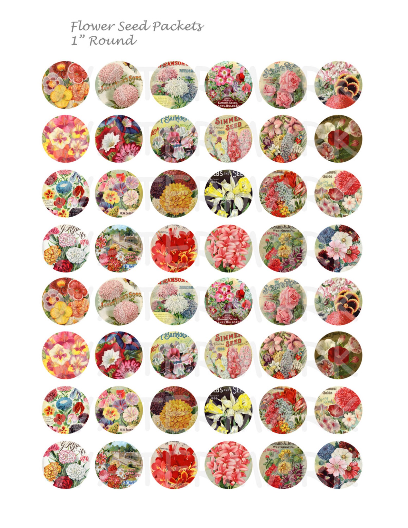 Flower Seed Packets - Digital Collage Sheet - 1 Inch Round Circles ...