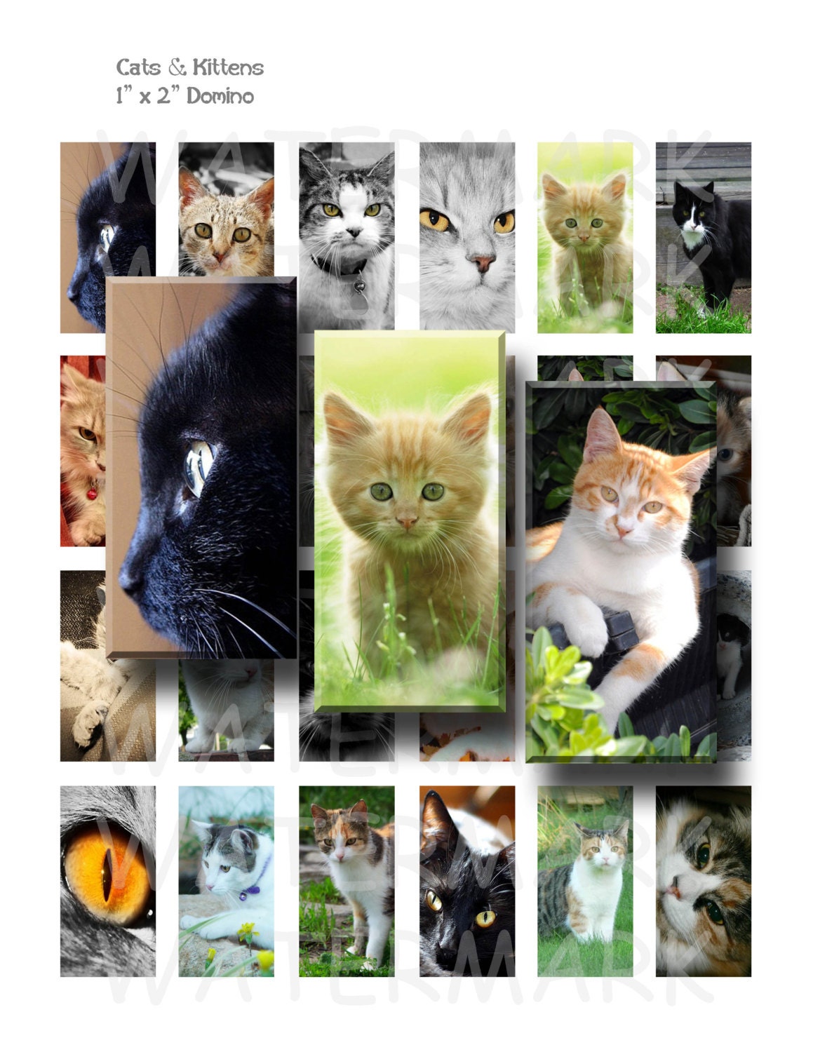 Cats & Kittens Digital Collage Sheet 1 X 2 Inch Domino - Etsy