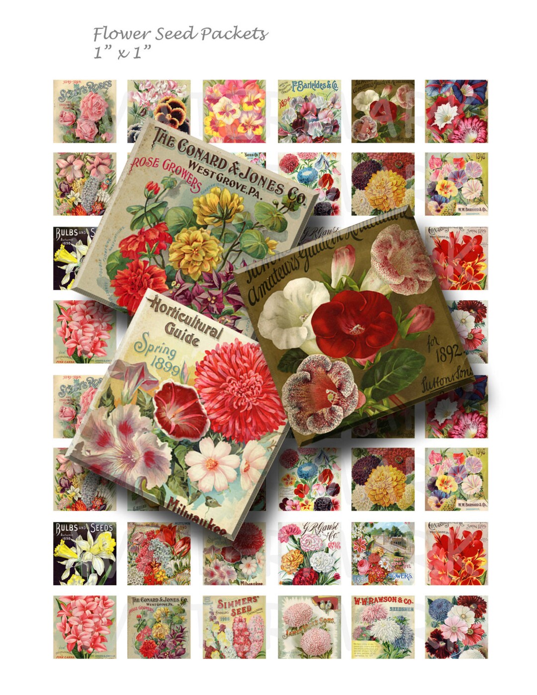 Flower Seed Packets - Digital Collage Sheet - 1 Inch (1 X 1) - INSTANT ...