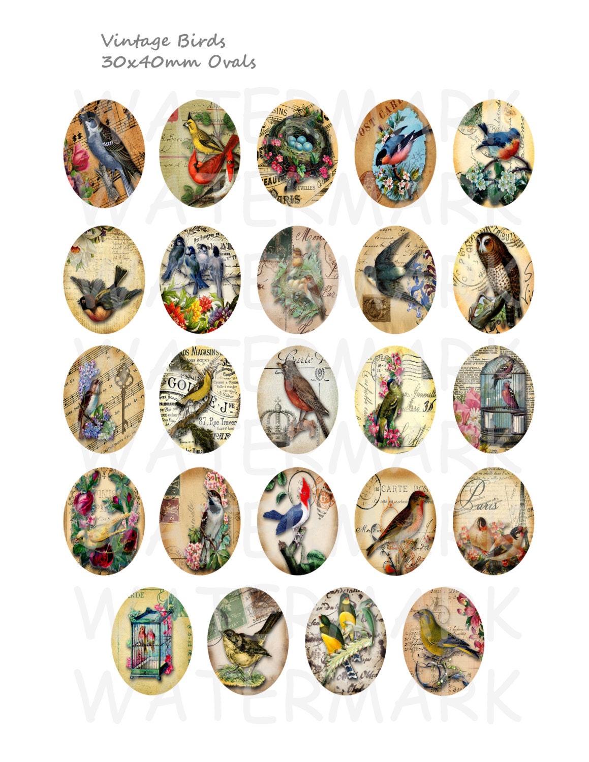Vintage Birds - Digital Collage Sheet - 30x40mm Ovals - INSTANT ...