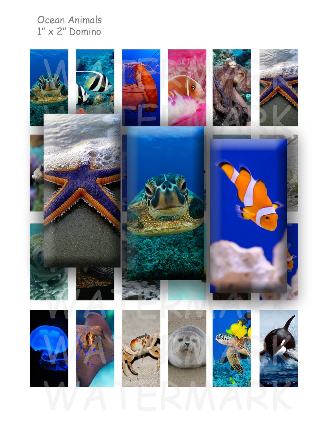 Ocean Animals - Digital Collage Sheet - 1 X 2 Inch Domino - INSTANT ...