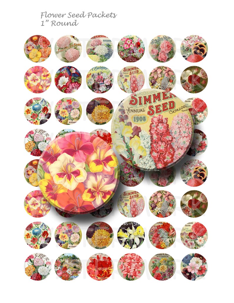 Flower Seed Packets - Digital Collage Sheet - 1 Inch Round Circles ...