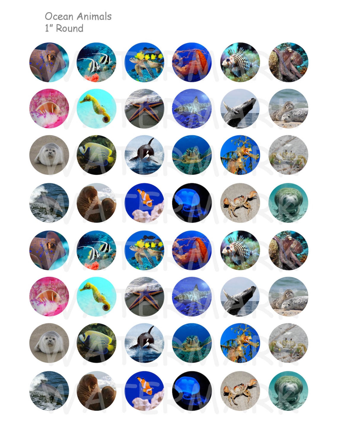 Ocean Animals - Digital Collage Sheet - 1 Inch Round Circles - INSTANT ...