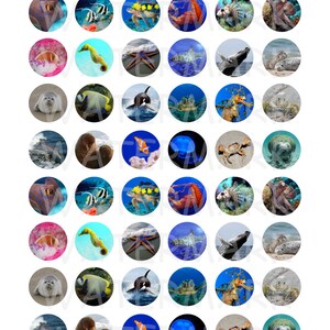 Ocean Animals - Digital Collage Sheet - 1 Inch Round Circles - INSTANT ...