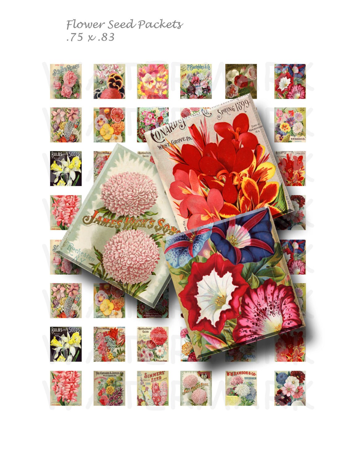 Flower Seed Packets - Digital Collage Sheet - .75 X .83 Scrabble Size ...