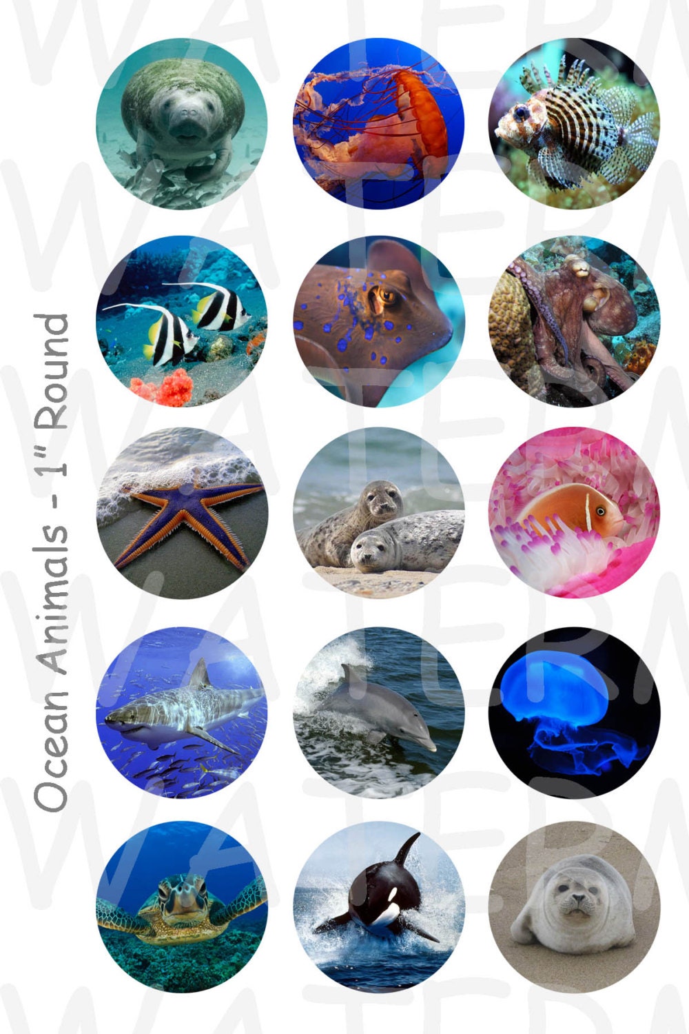 Ocean Animals 4 X 6 Digital Collage Sheet 1 Inch Round | Etsy