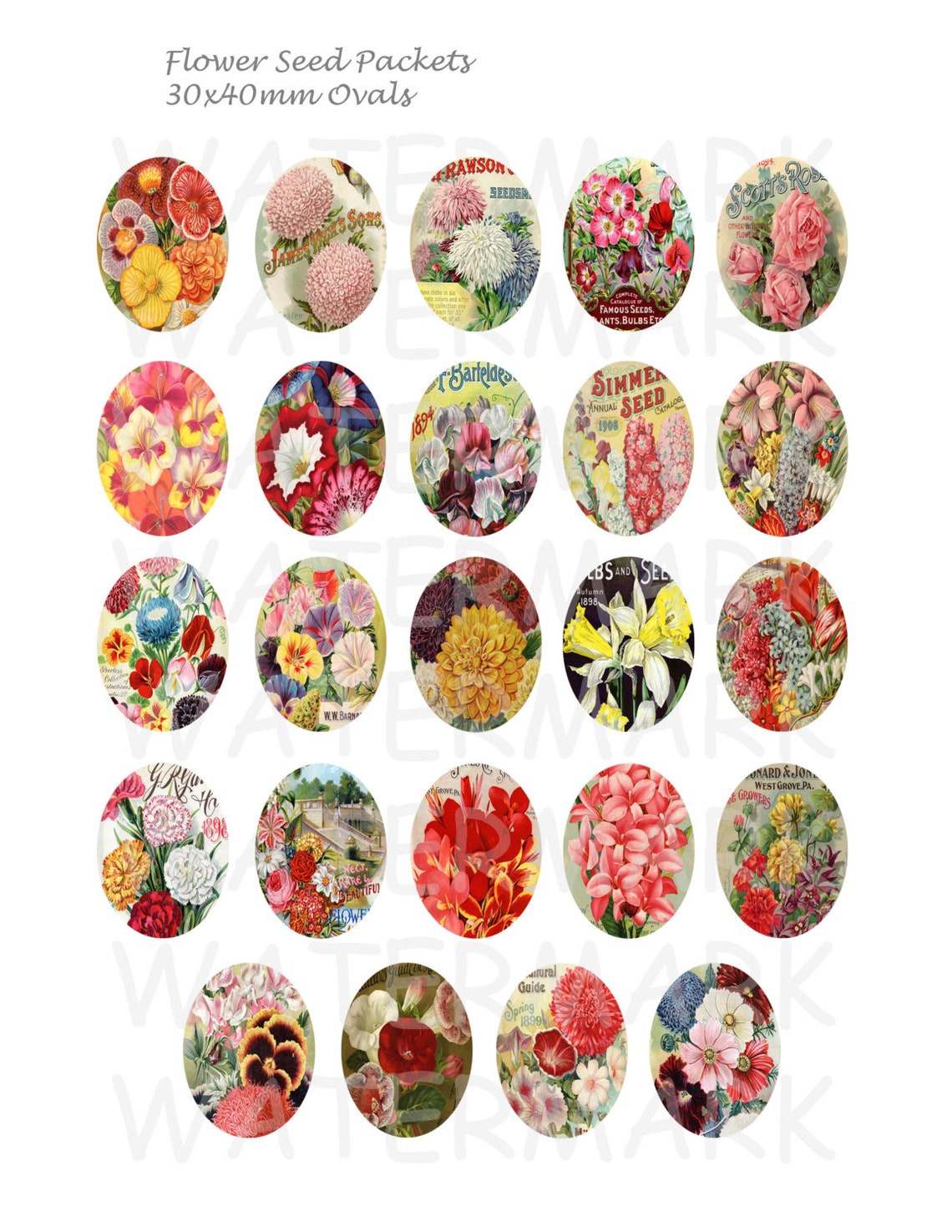 Flower Seed Packets - Digital Collage Sheet - 30x40mm Ovals - INSTANT ...