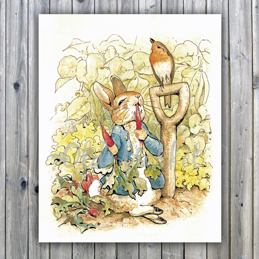 Peter Rabbit 1 - Beatrix Potter Illustration - Printable Digital ...