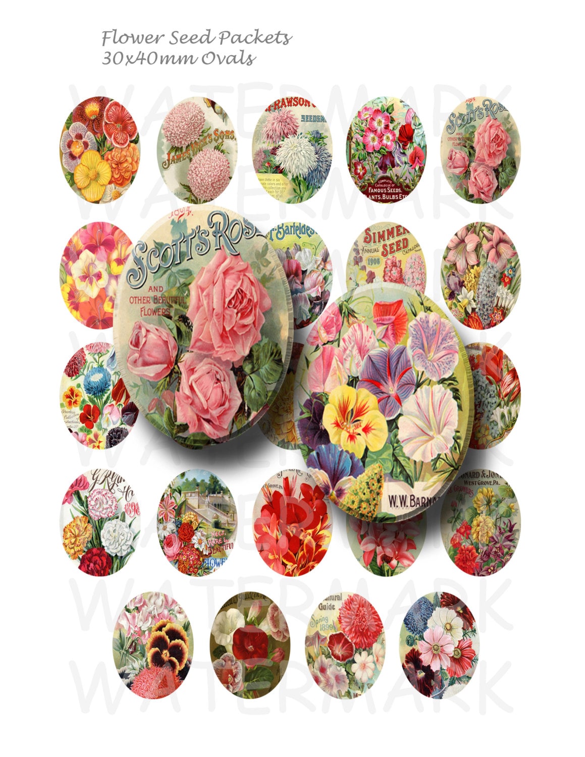 Flower Seed Packets - Digital Collage Sheet - 30x40mm Ovals - INSTANT ...