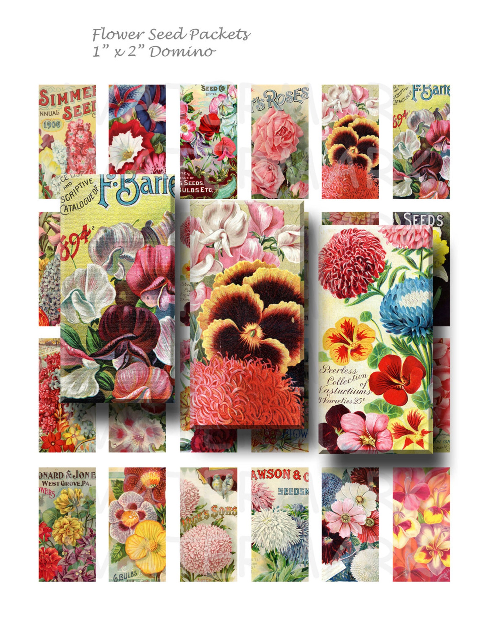Flower Seed Packets - Digital Collage Sheet - 1 X 2 Inch Domino ...