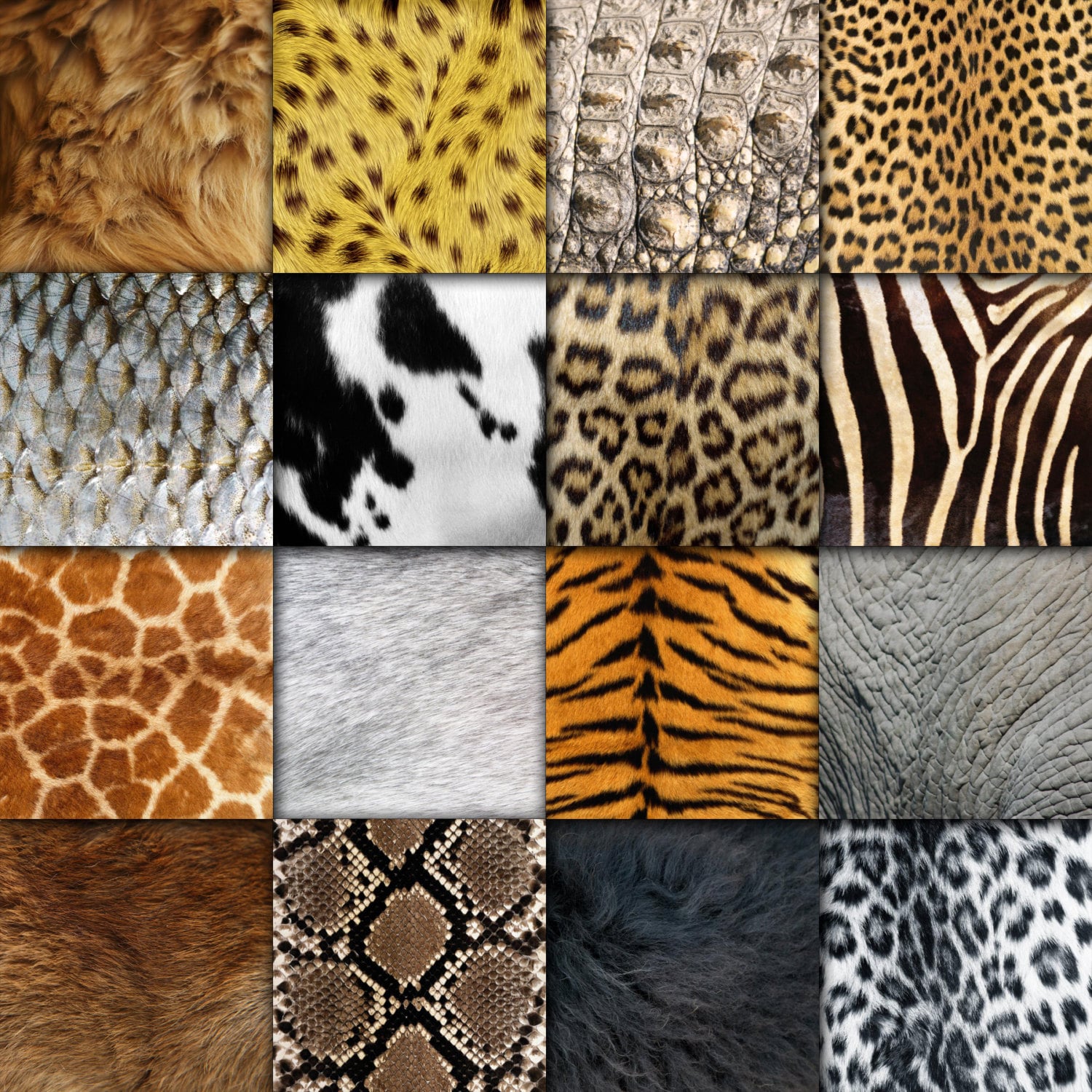 Animal Skin Textures Digital Paper Animal Fur Backgrounds - Etsy