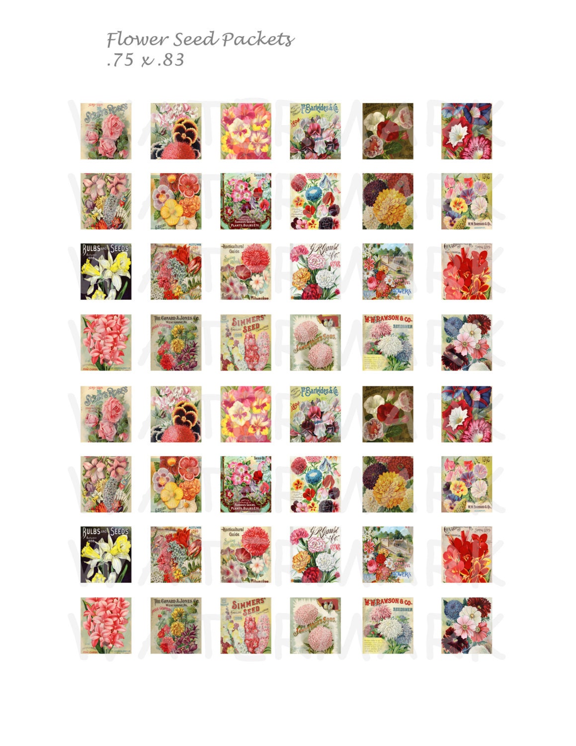 Flower Seed Packets - Digital Collage Sheet - .75 X .83 Scrabble Size ...