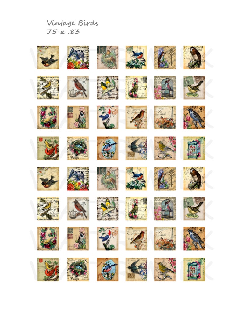 Vintage Birds Digital Collage Sheet .75 X .83 Scrabble - Etsy