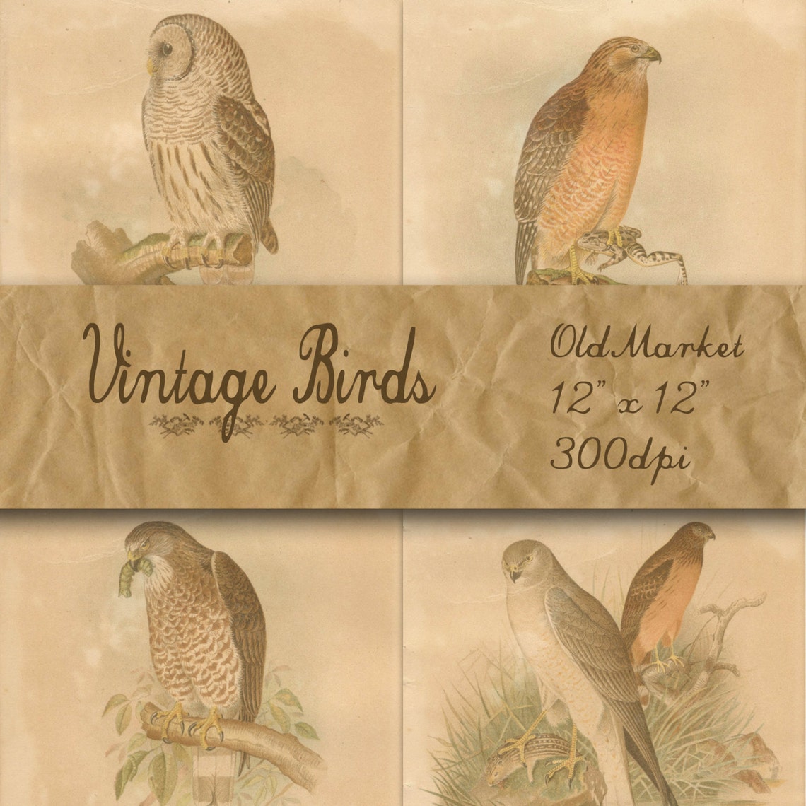 Vintage Birds Digital Paper Bird Backgrounds Vintage - Etsy