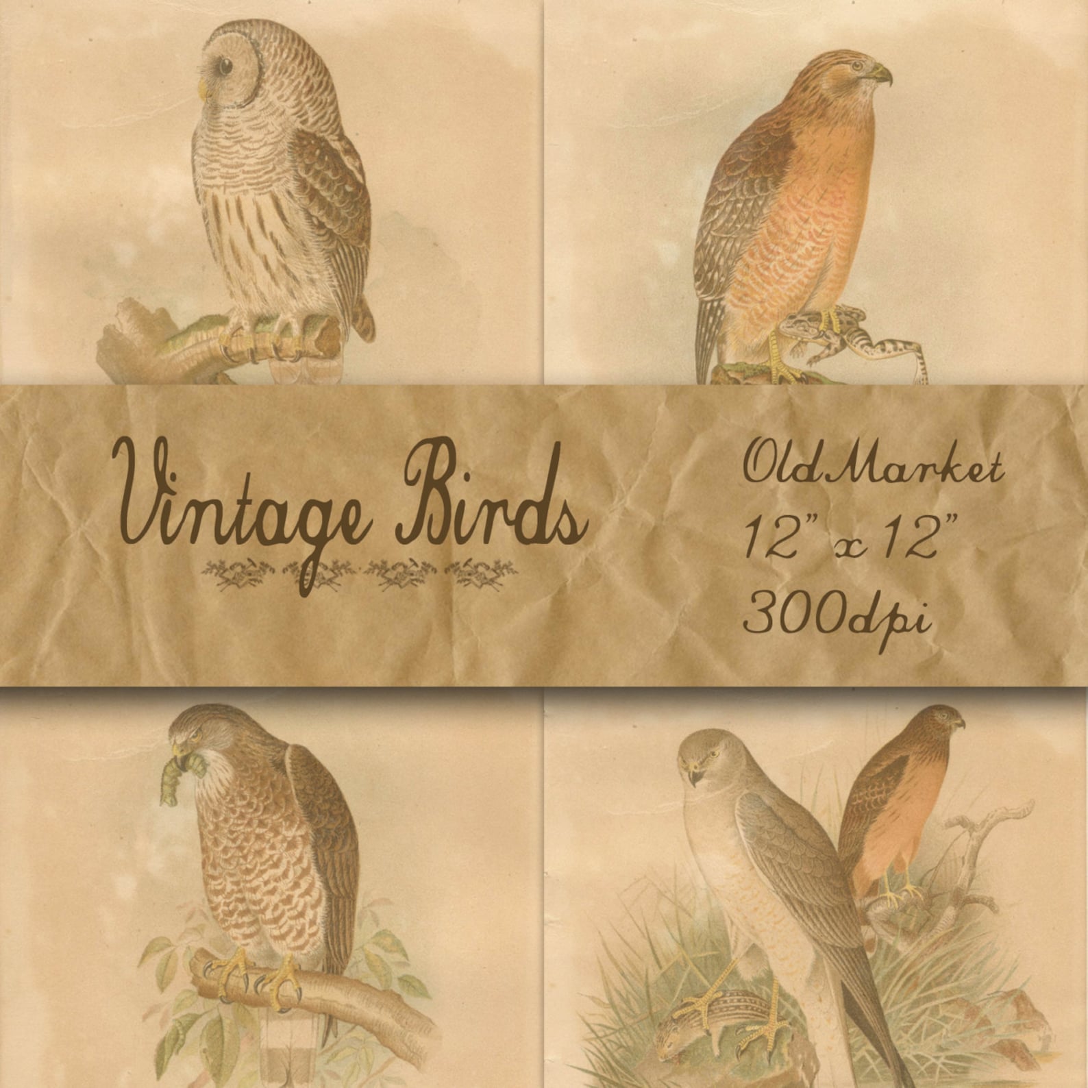 Vintage Birds Digital Paper - Bird Backgrounds - Vintage Biology Plates ...
