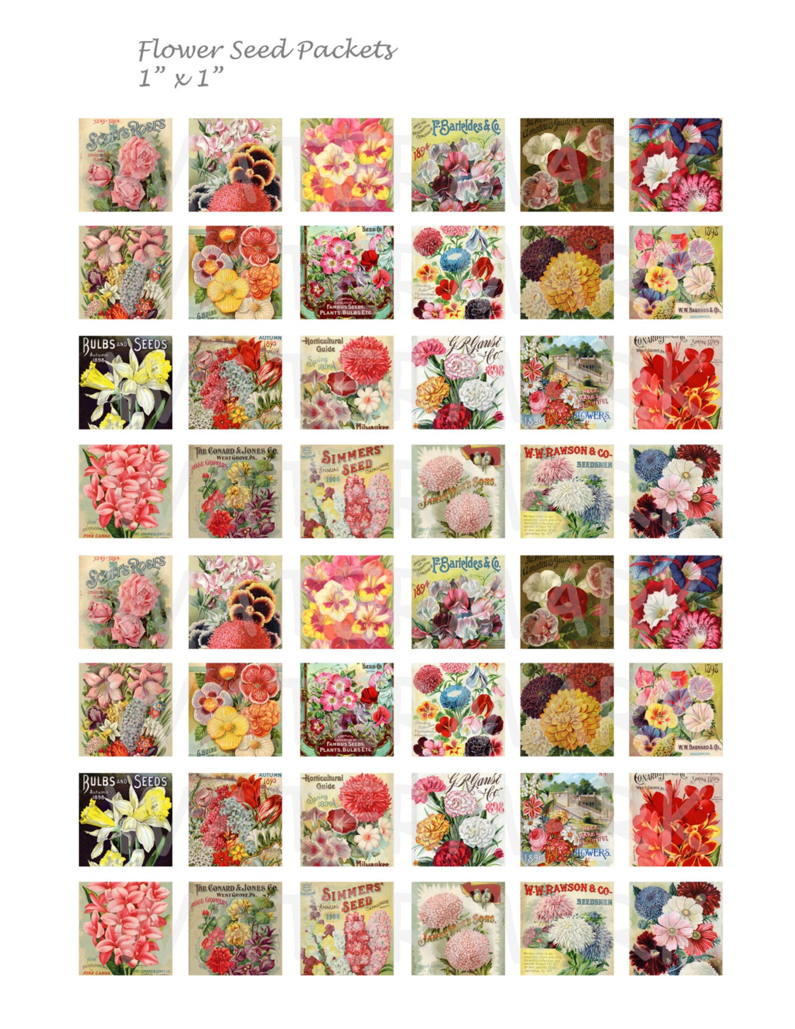 Flower Seed Packets - Digital Collage Sheet - 1 Inch (1 X 1) - INSTANT ...