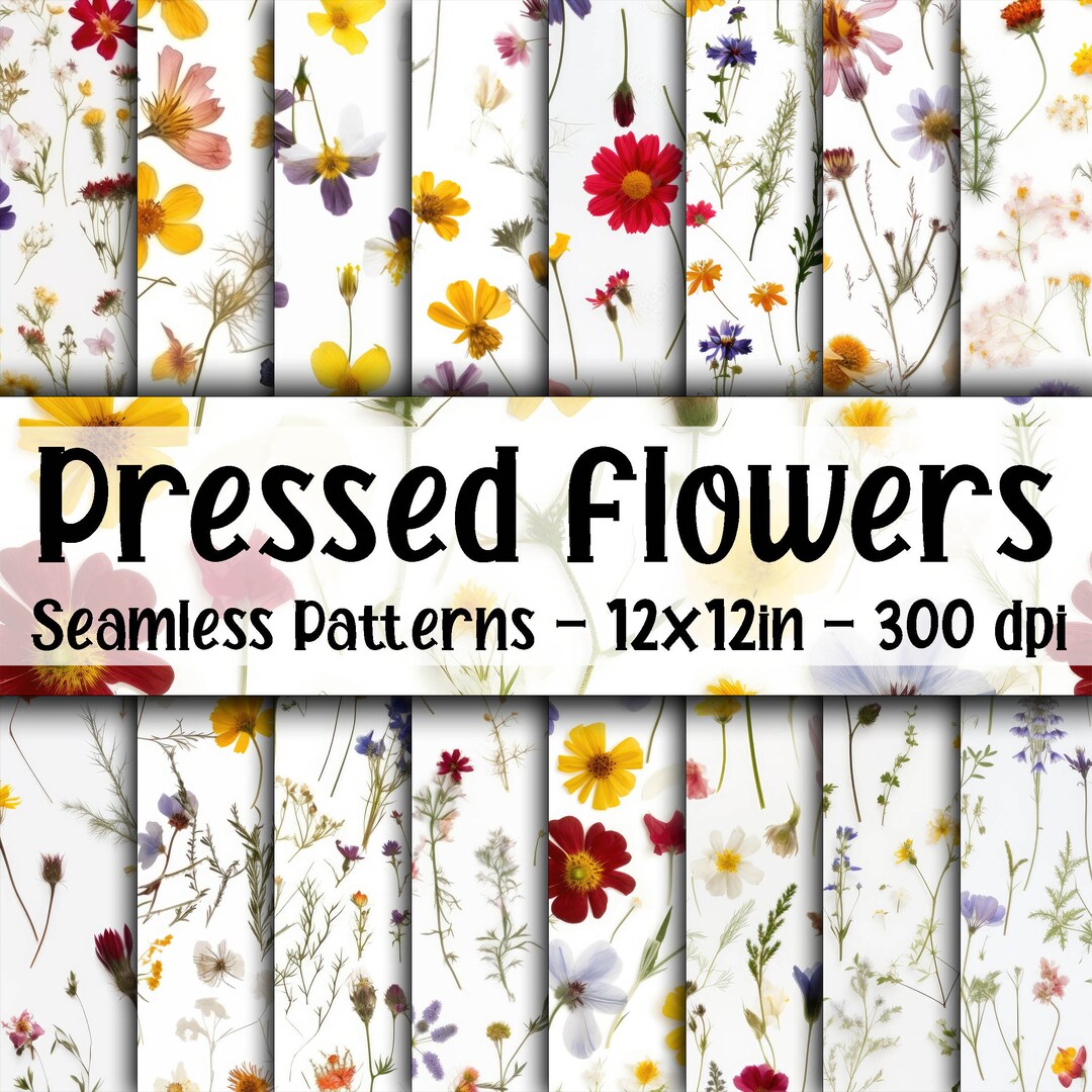 Pressed Flowers SEAMLESS Patterns - Pressed Wildflowers Digital Paper ...