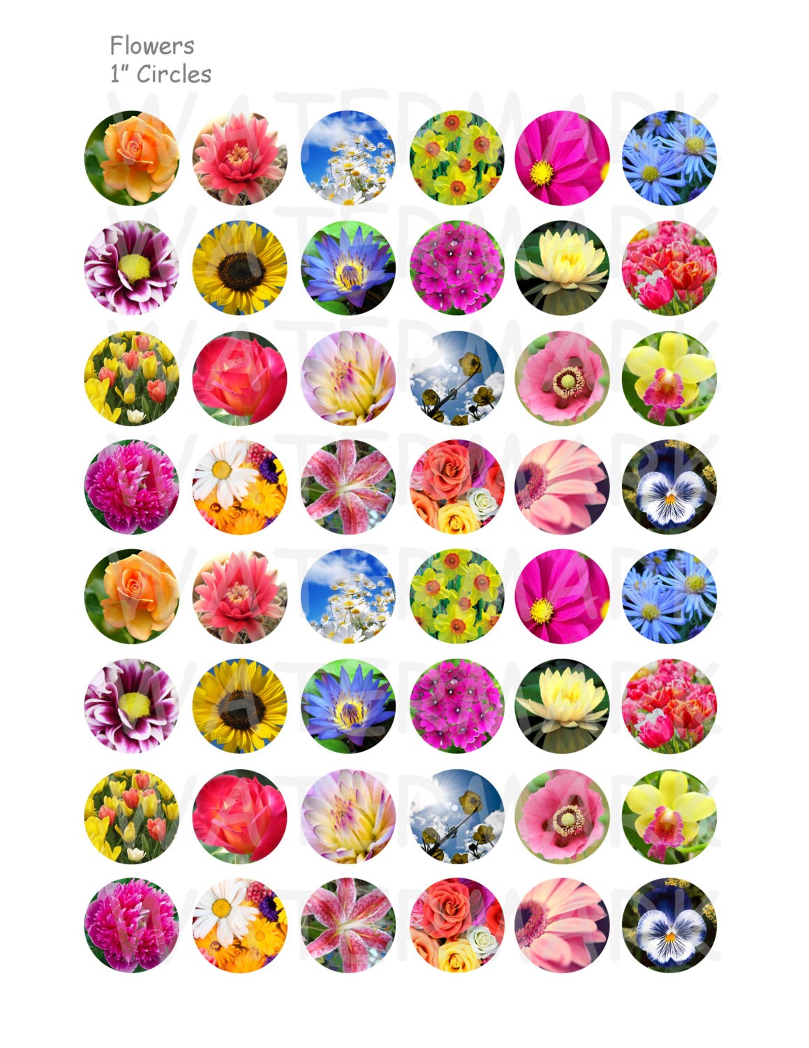 Flowers Digital Collage Sheet 1 Inch Round Circles - Etsy